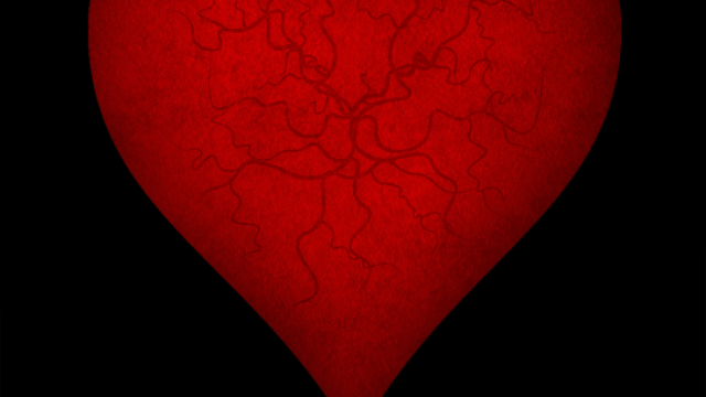 Undertale Movie, Impact 1 : Costume et matériel - Ulule