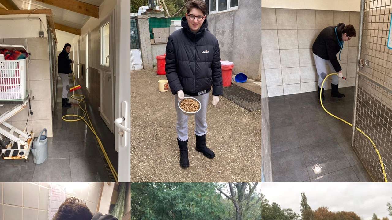 #handi_Aidons Charlotte à réaliser son projet professionnel