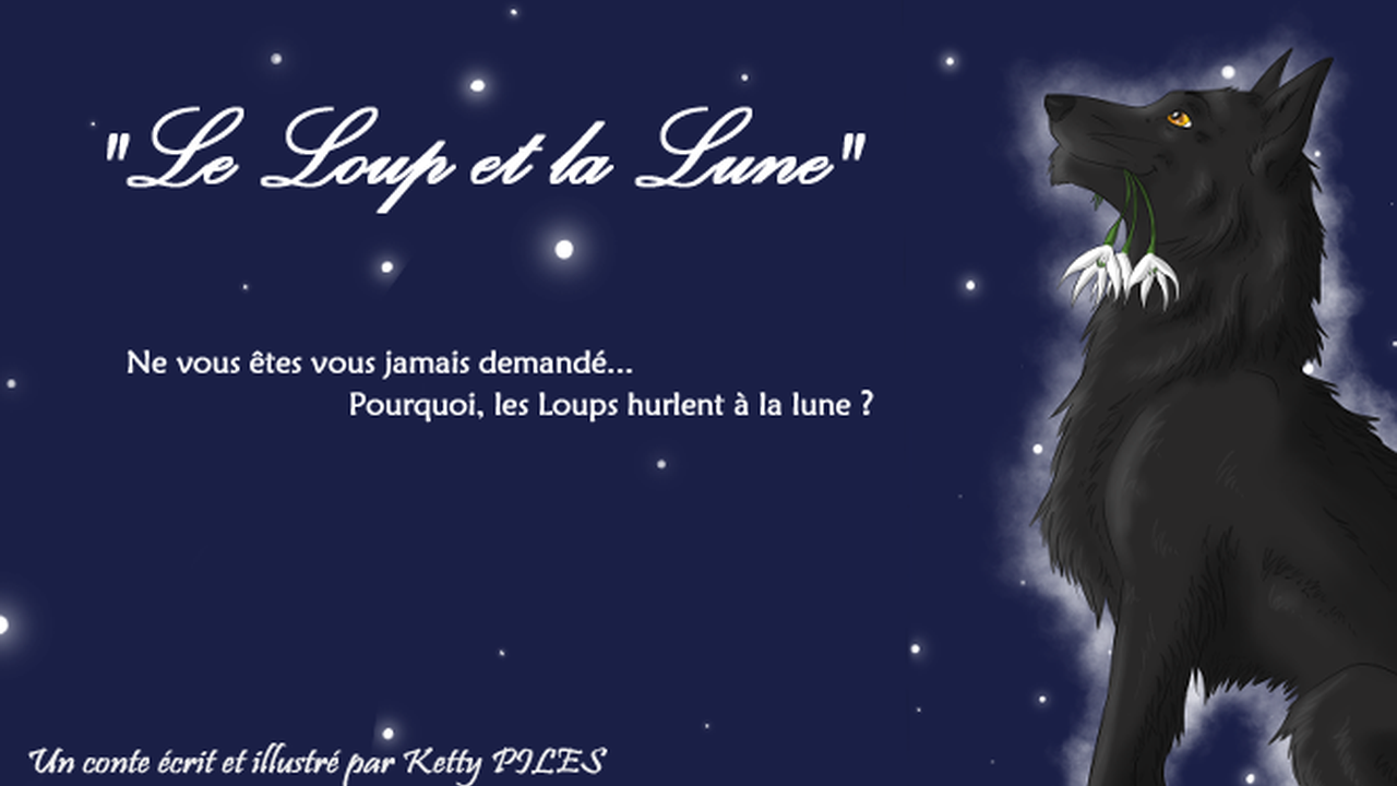 "Le Loup et la Lune" - Ulule