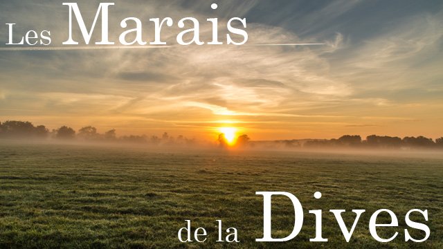 Book "Les Marais de la Dives"