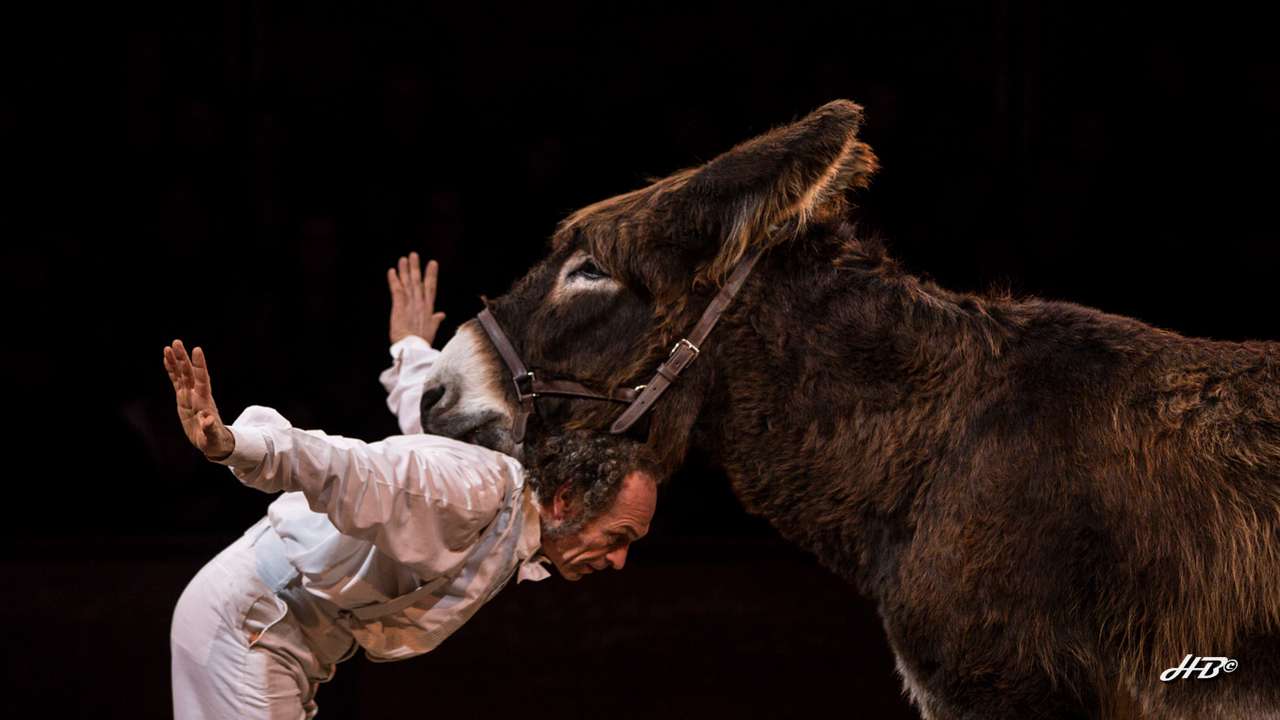 "Âne que tal?" résidence de création, tournée 2017 - Ulule