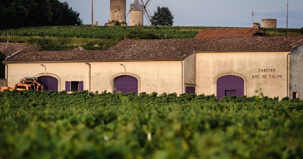 Valoriser et diversifier un vignoble familial centenaire - Ulule