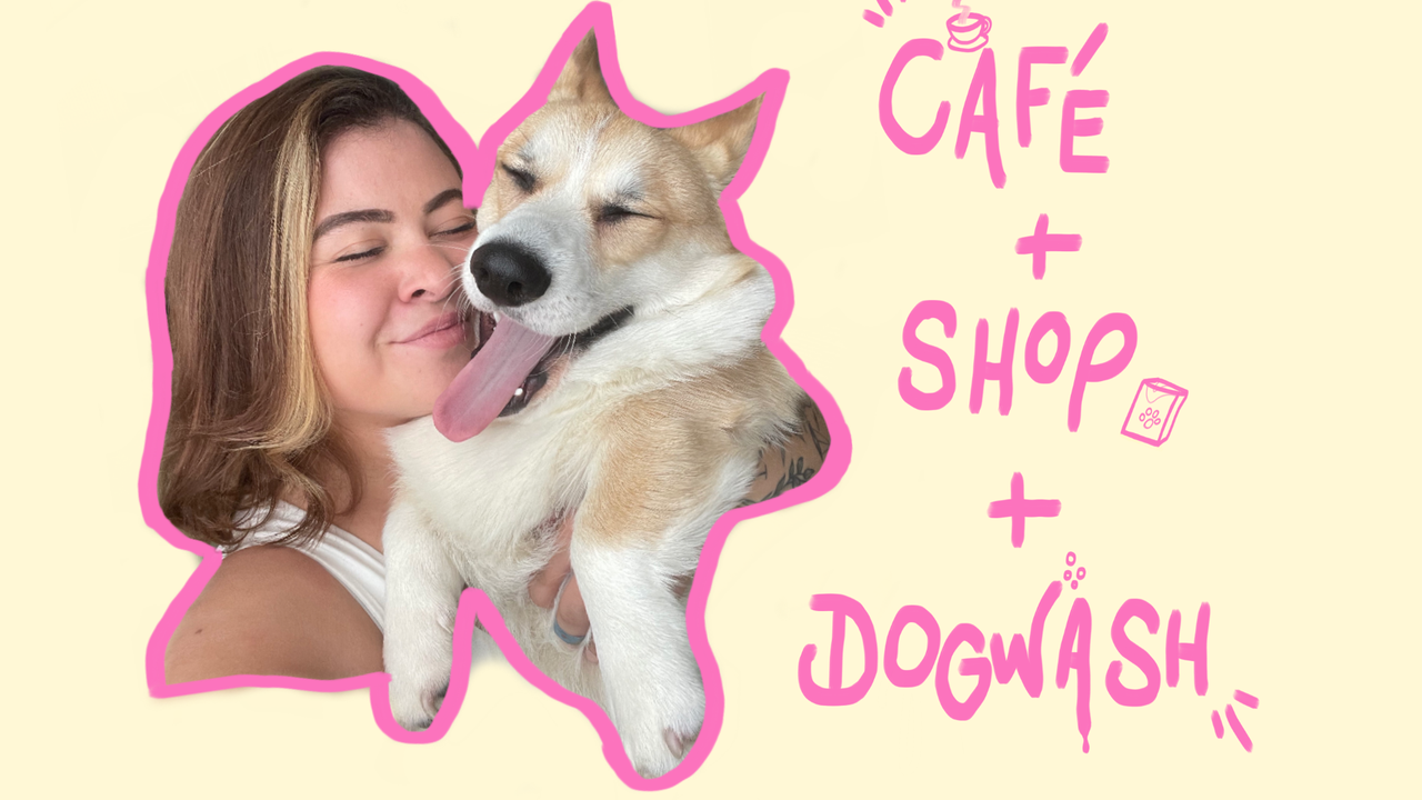 Premier concept store canin à Belfort ! 🐕 - Ulule