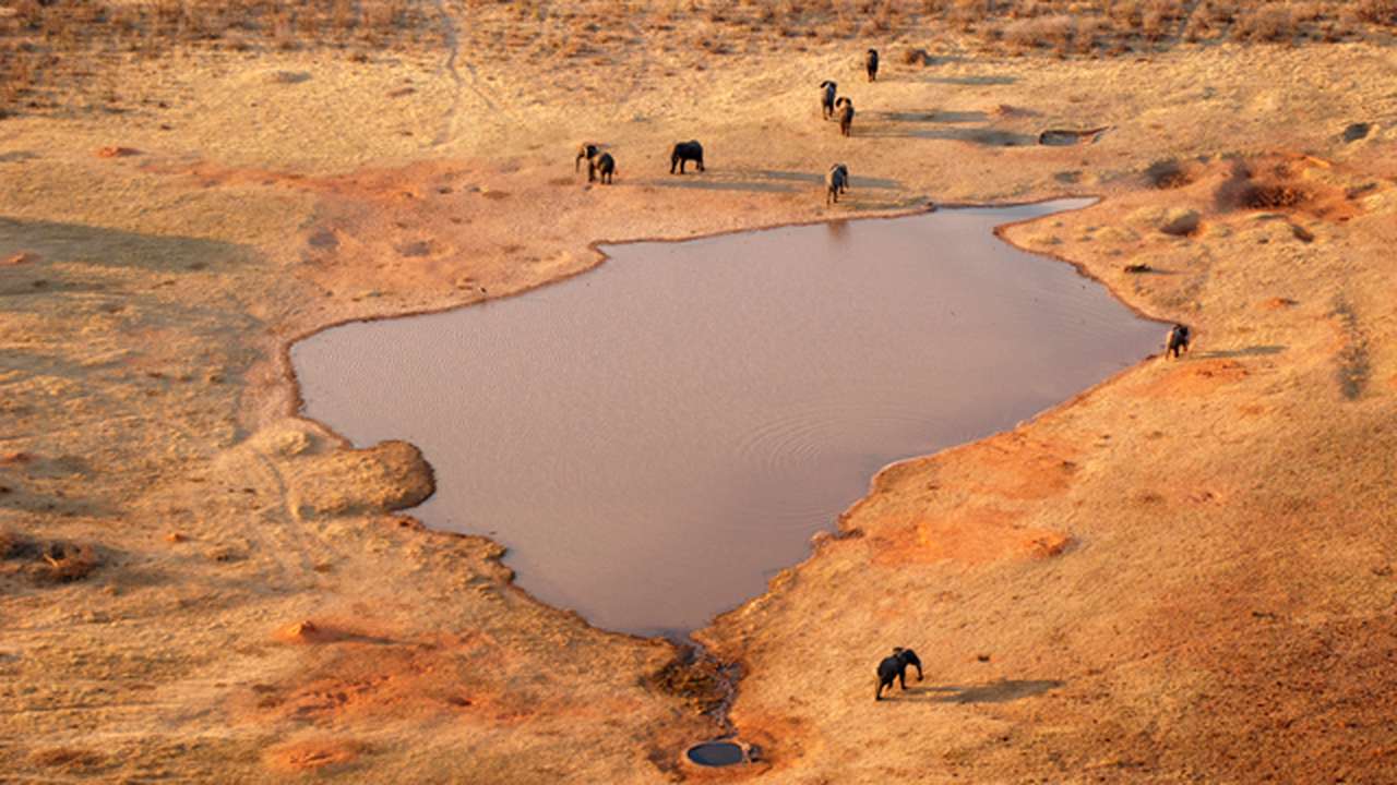 AfricanWings, aux frontières du Zimbabwe - Ulule