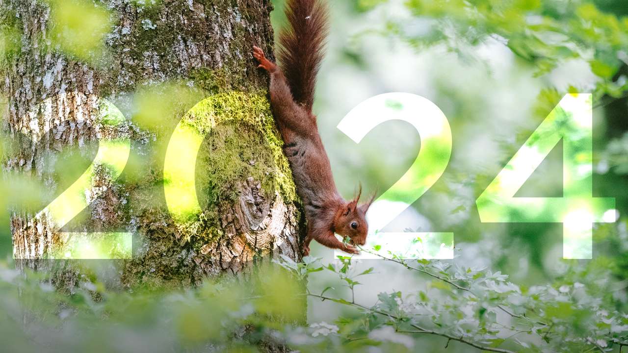 Calendrier Faune Sauvage 2024 - Ulule