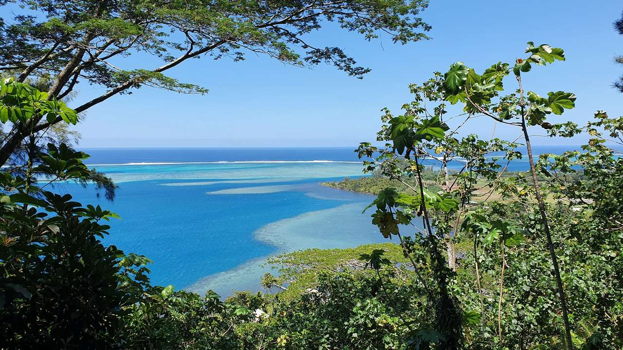 POLYNESIE LE MAG a besoin de votre aide