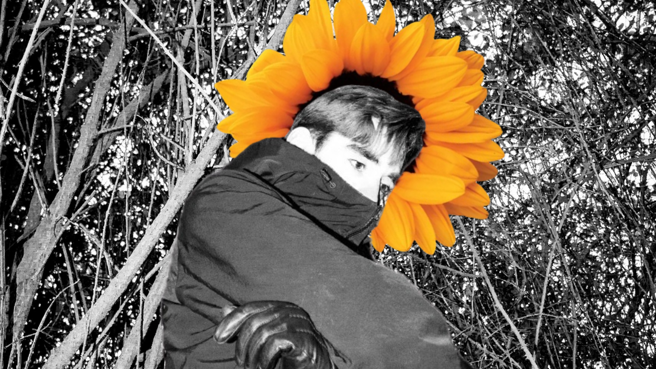 L'Homme Tournesol