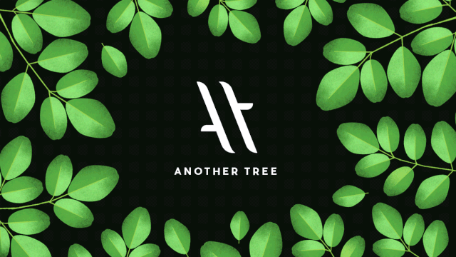 ANOTHER TREE - Moringa L'authentique - Ulule