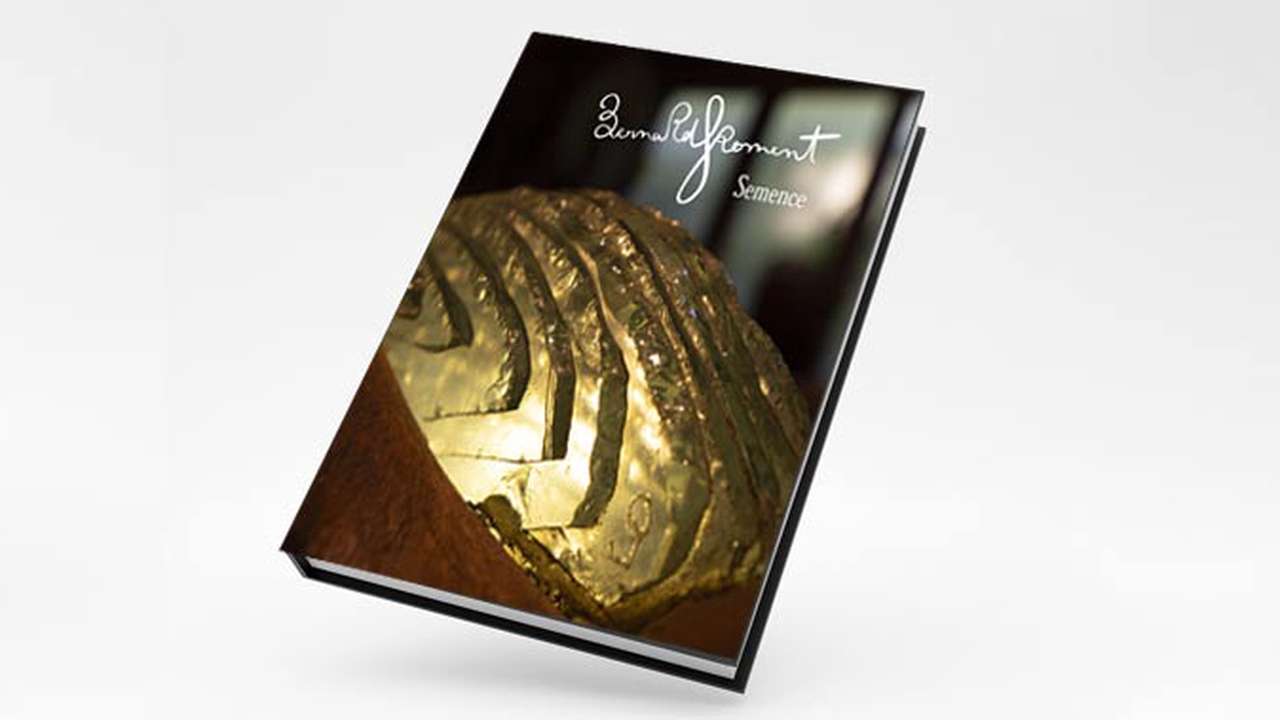 " Semence" de Bernard Froment - Ulule