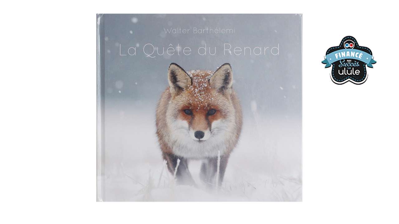 Livre "La Quête du Renard" - Ulule