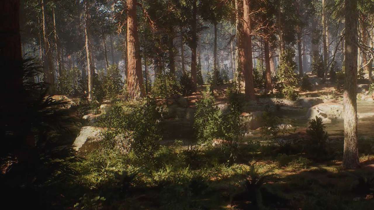 Sasquatch ! Le Peuple des forêts