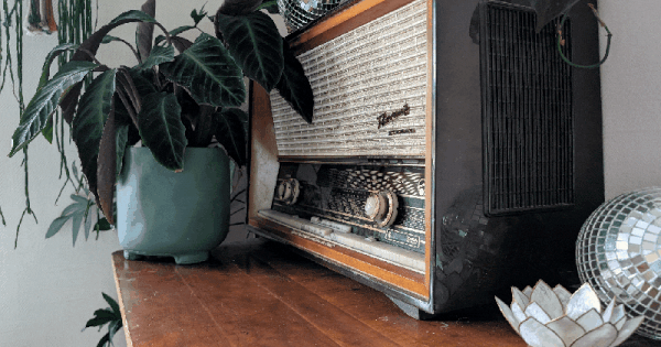 Des albums qui font grandir : amorcer les apprentissages
