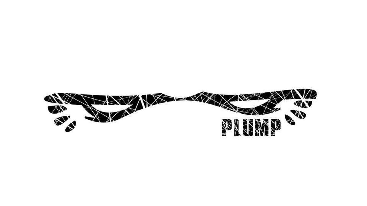 PLUMP 1er Album - Ulule