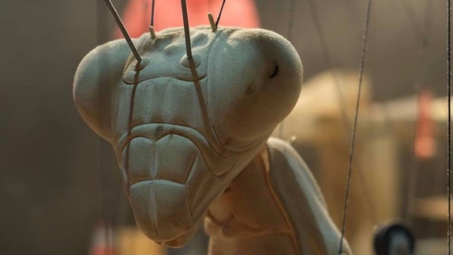 Pierre Cassin - Ulule