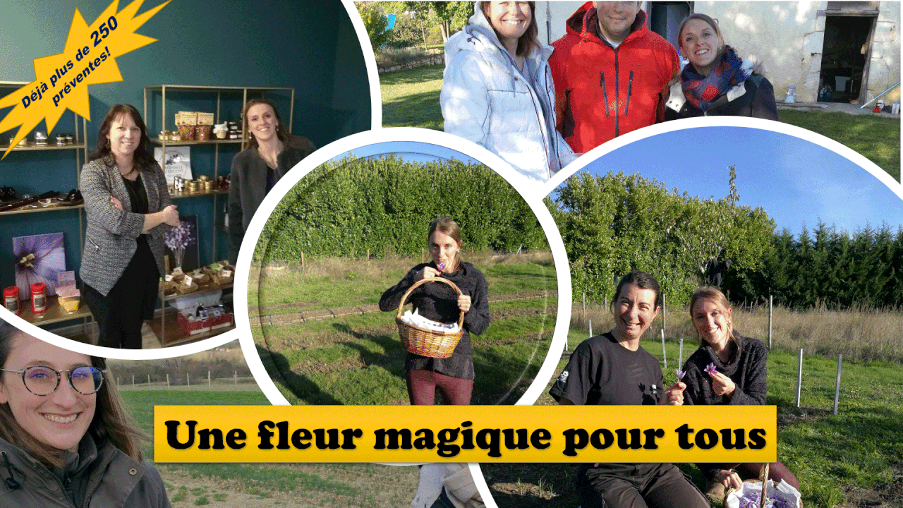 Les Femmes du Bonheur - Ulule