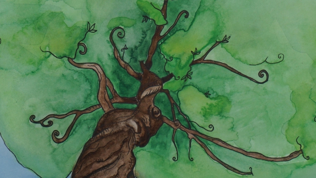 L'arbre à spirales - Ulule