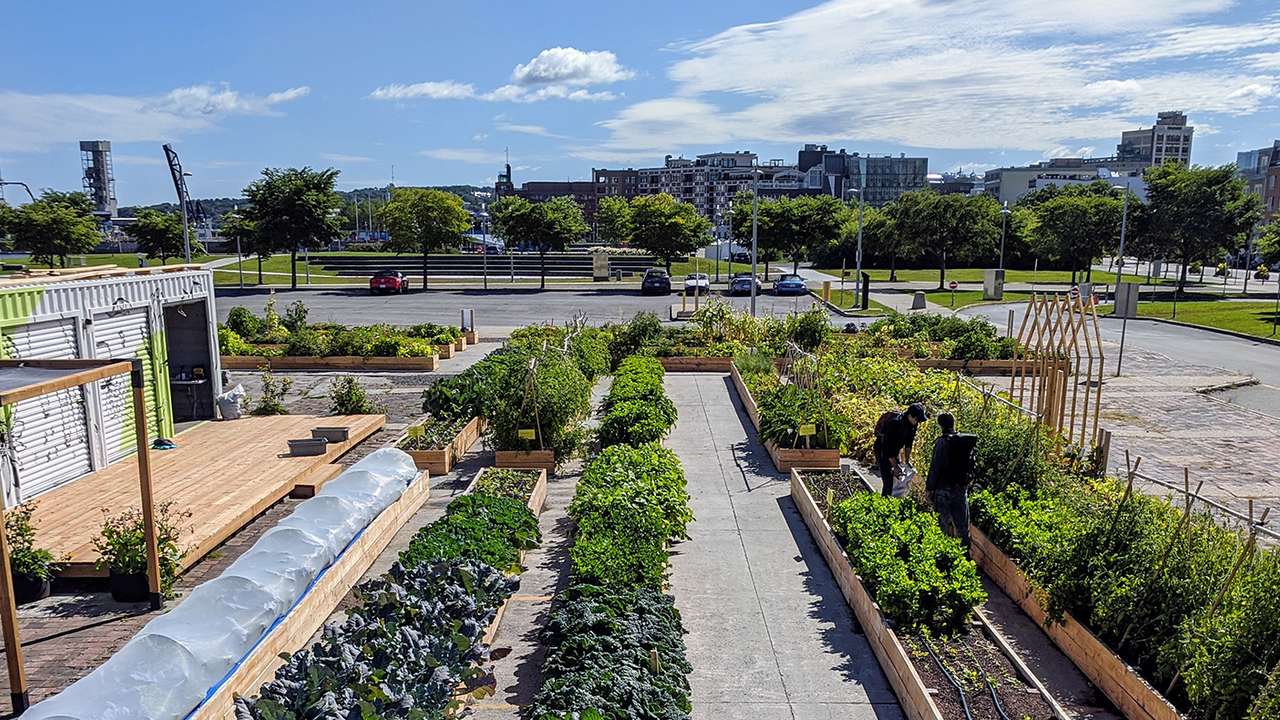 Les Jardins du bassin Louise