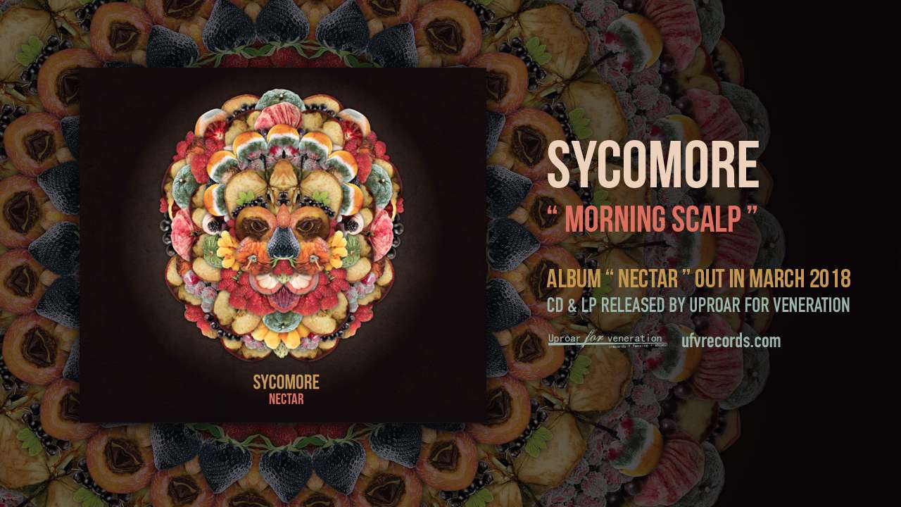 Sycomore nouvel album