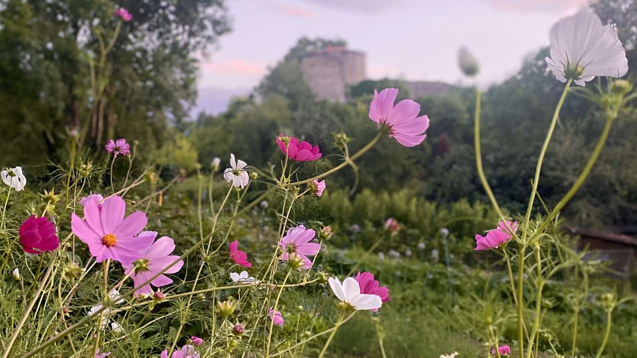 "Passejada poetica": parcours contemplatif gascon / français