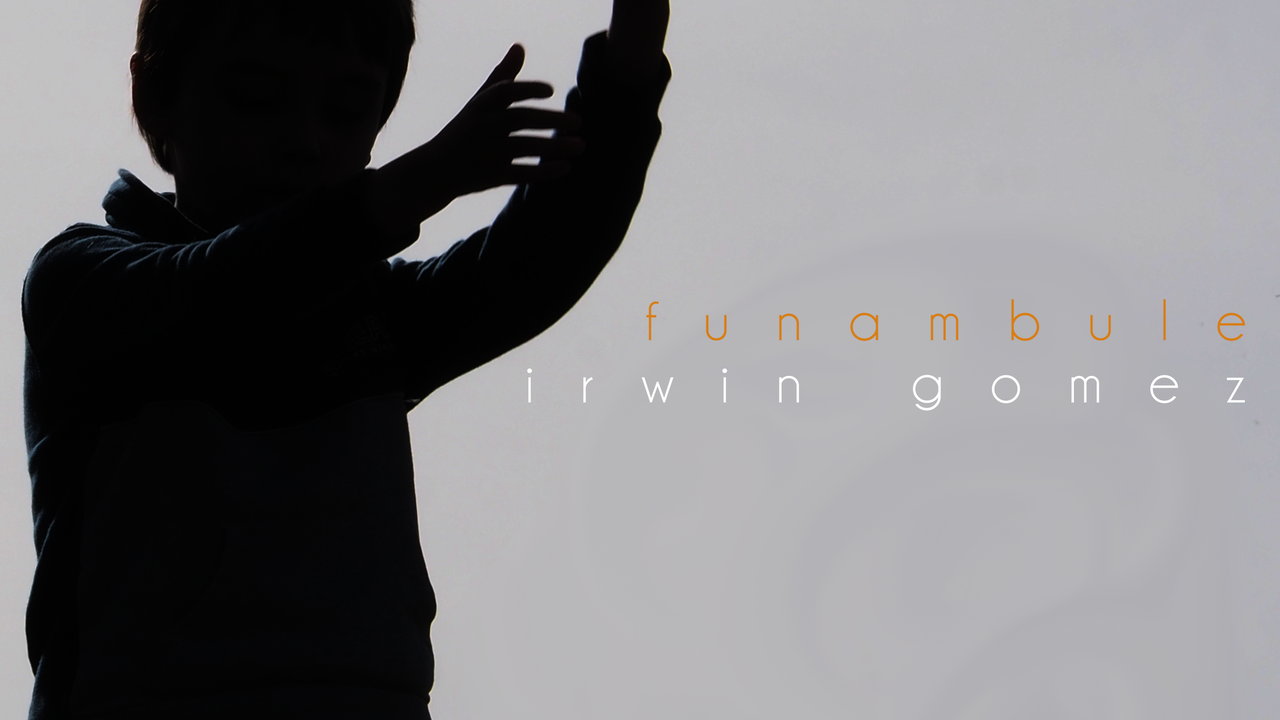 IRWIN GOMEZ / NOUVEL ALBUM : FUNAMBULE (2023) - Ulule
