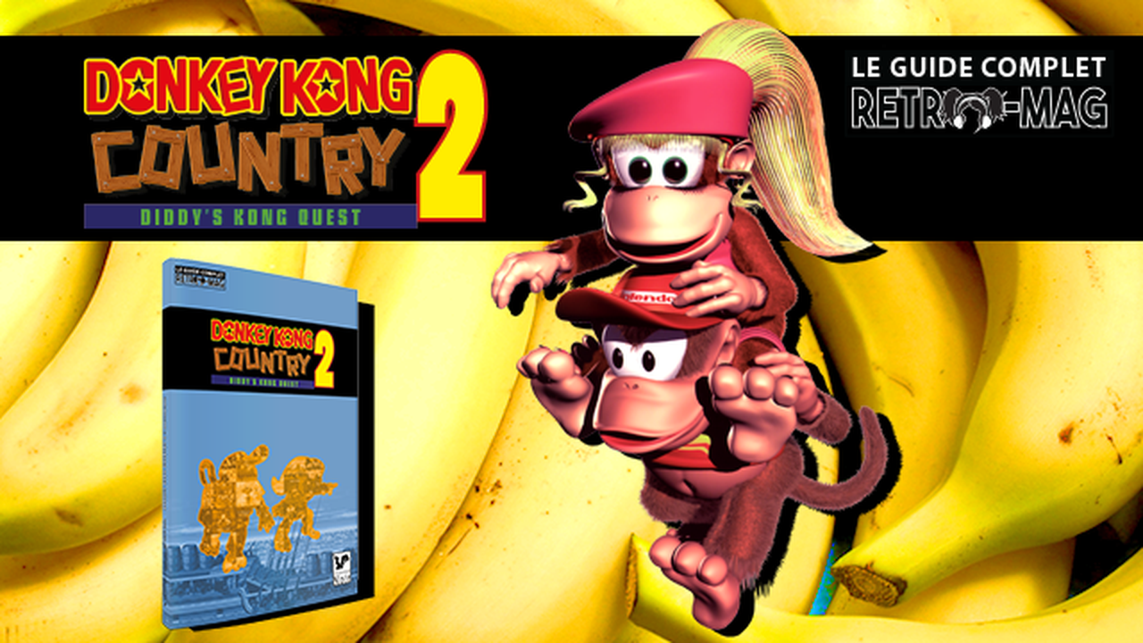 Donkey Kong Country 2 : Diddy's Kong Quest - Ulule
