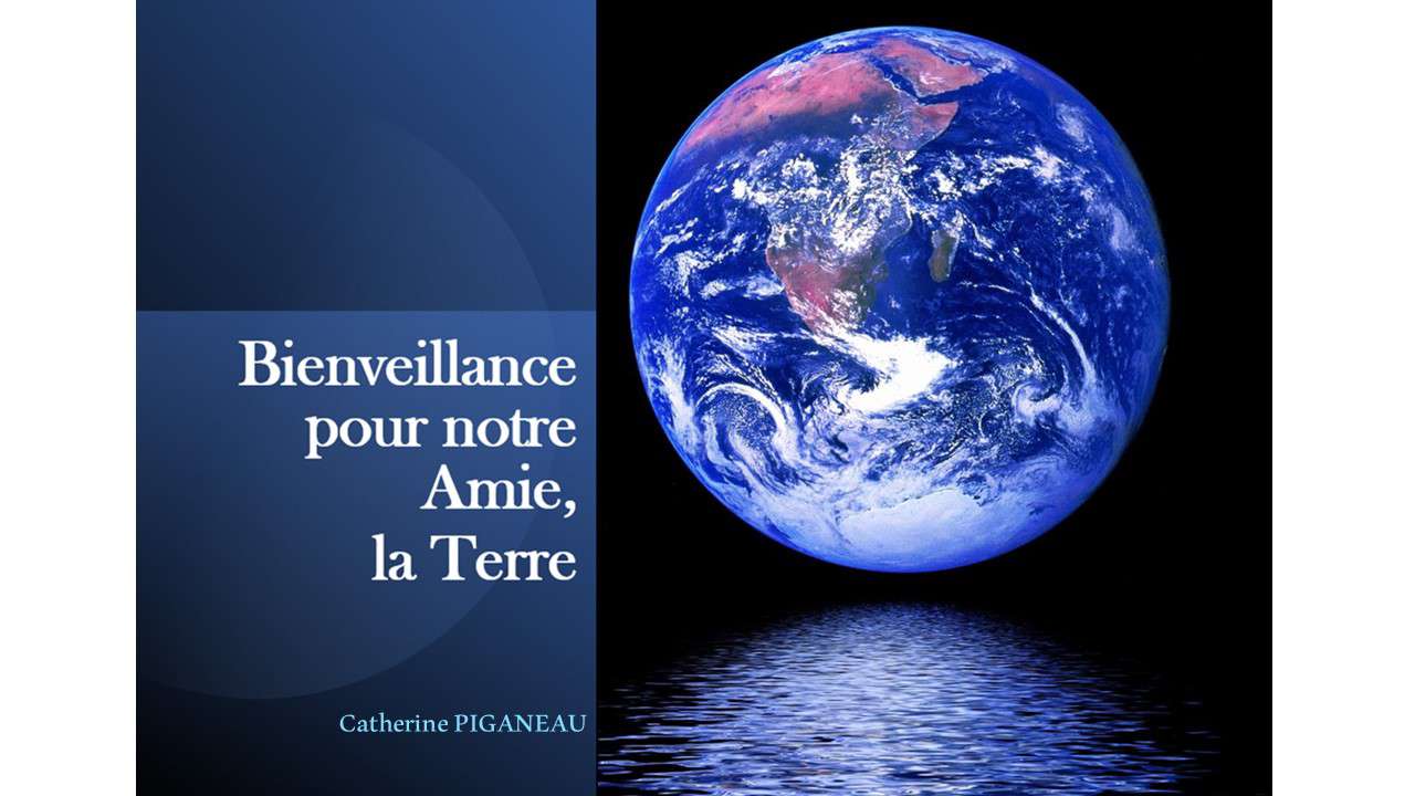 BIENVEILLANCE POUR L'ENVIRONNEMENT ET LES ANIMAUX