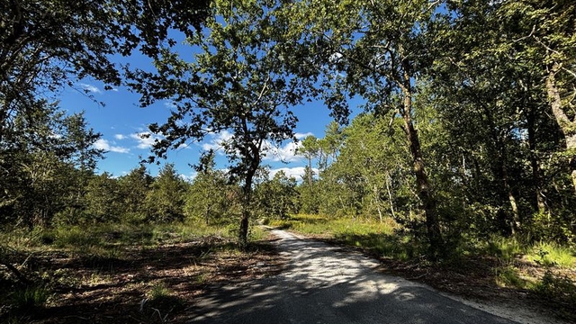 PDFL - Pour la Défense de la Forêt Litoise