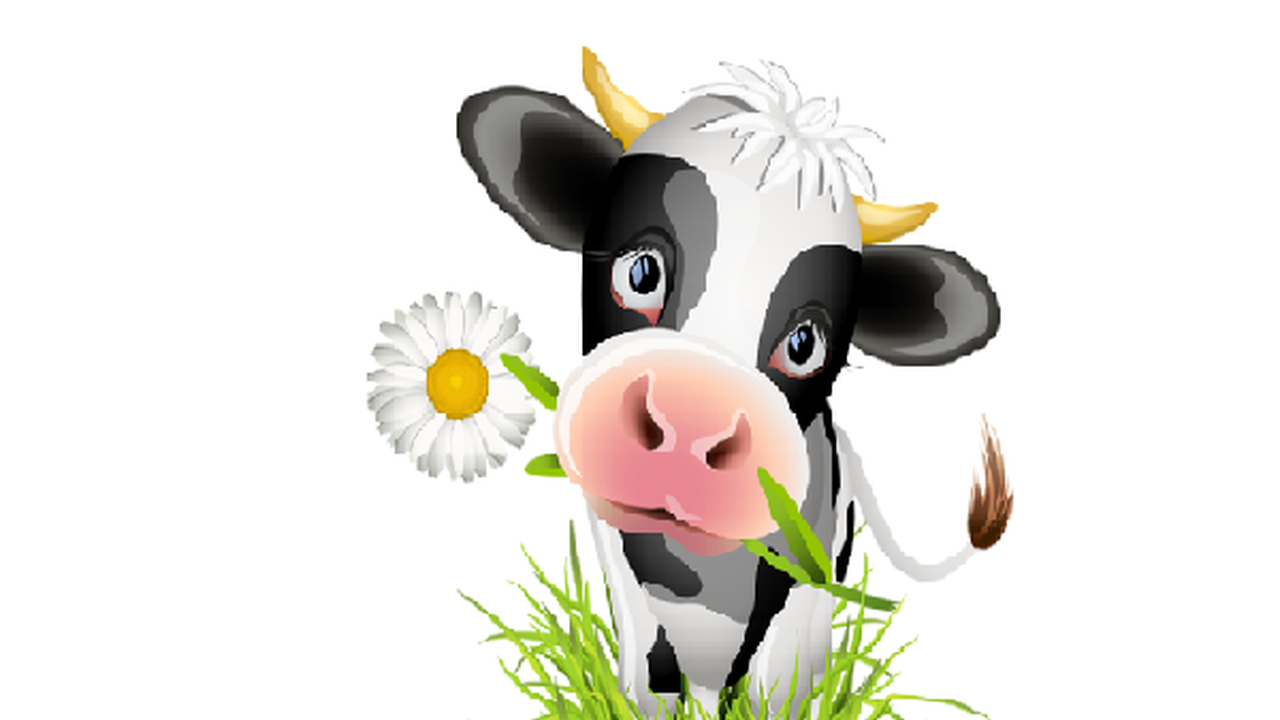 GLAMPING DES 2 MARGUERITES - Ulule