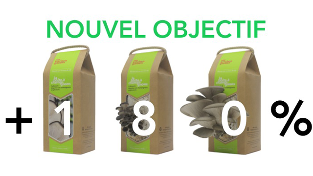 Un coup de pousse pour nos champignons - Ulule