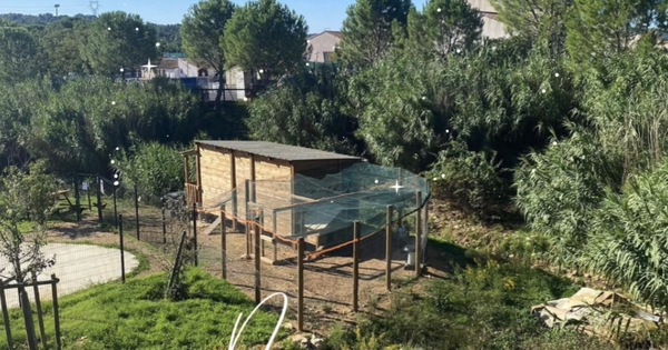 Le poulailler de Vailhauques 34570