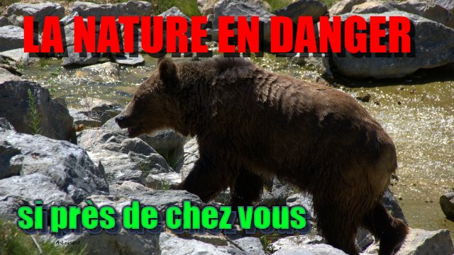 La Nature en Danger