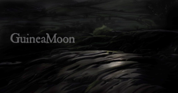 John Cunningham - Guinea Moon - Ulule