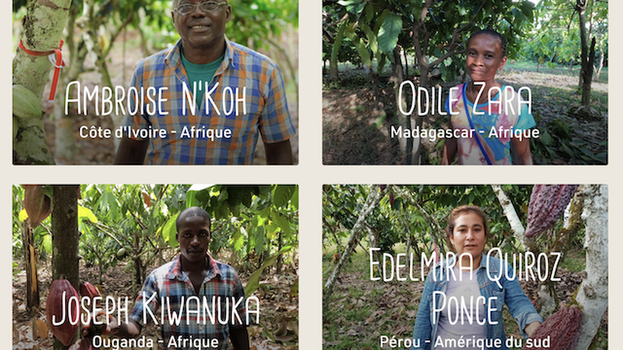Treegether : le chocolat le plus traçable au monde