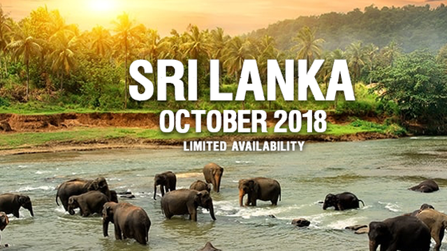 viclapraline - Ulule