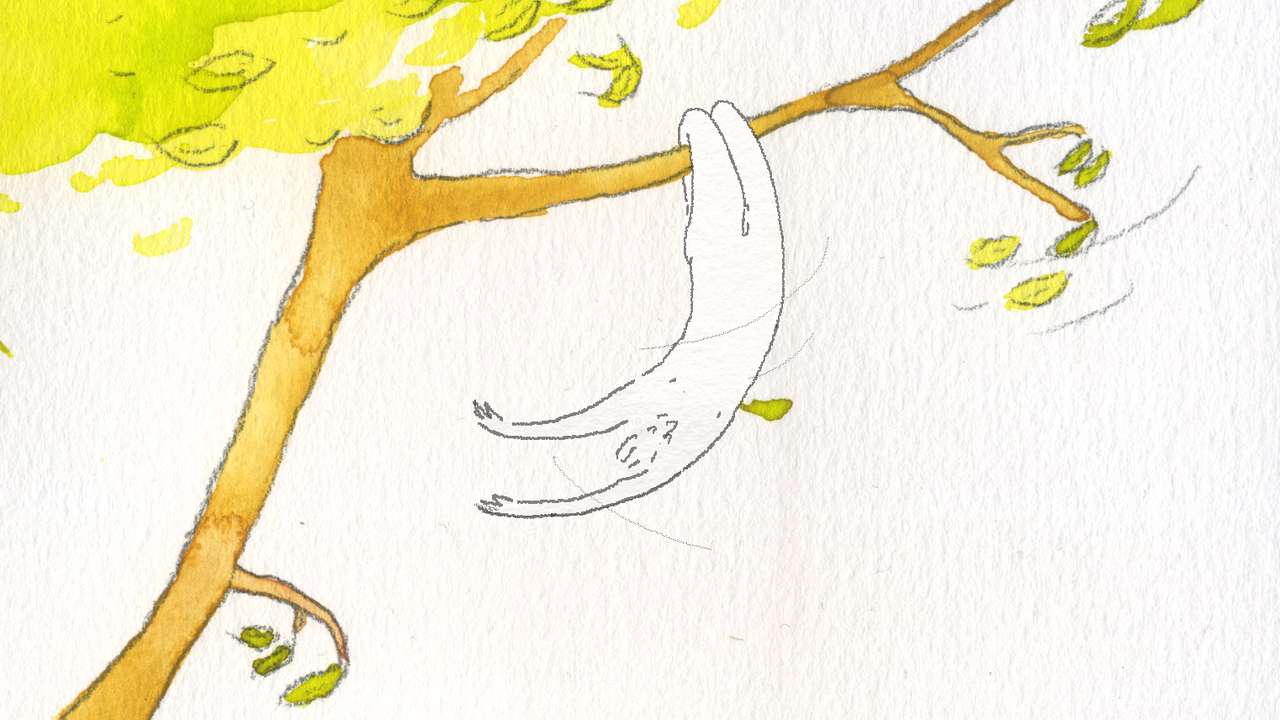 Un clip d'animation pour "L'arbre"