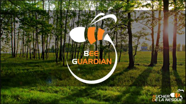 Une reine pour une ruche - Ulule