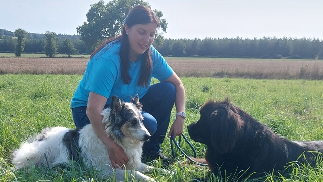 Ensemble, créons du lien grâce aux animaux - Ulule