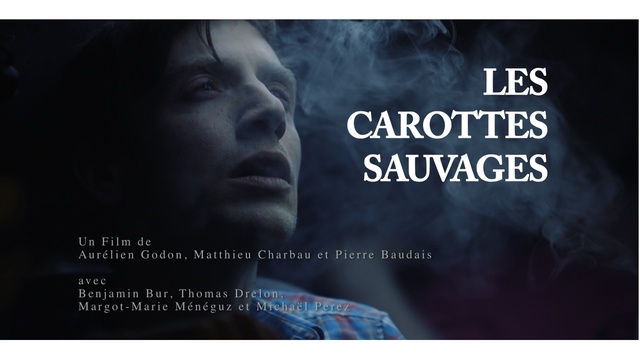 Les Carottes Sauvages - Ulule