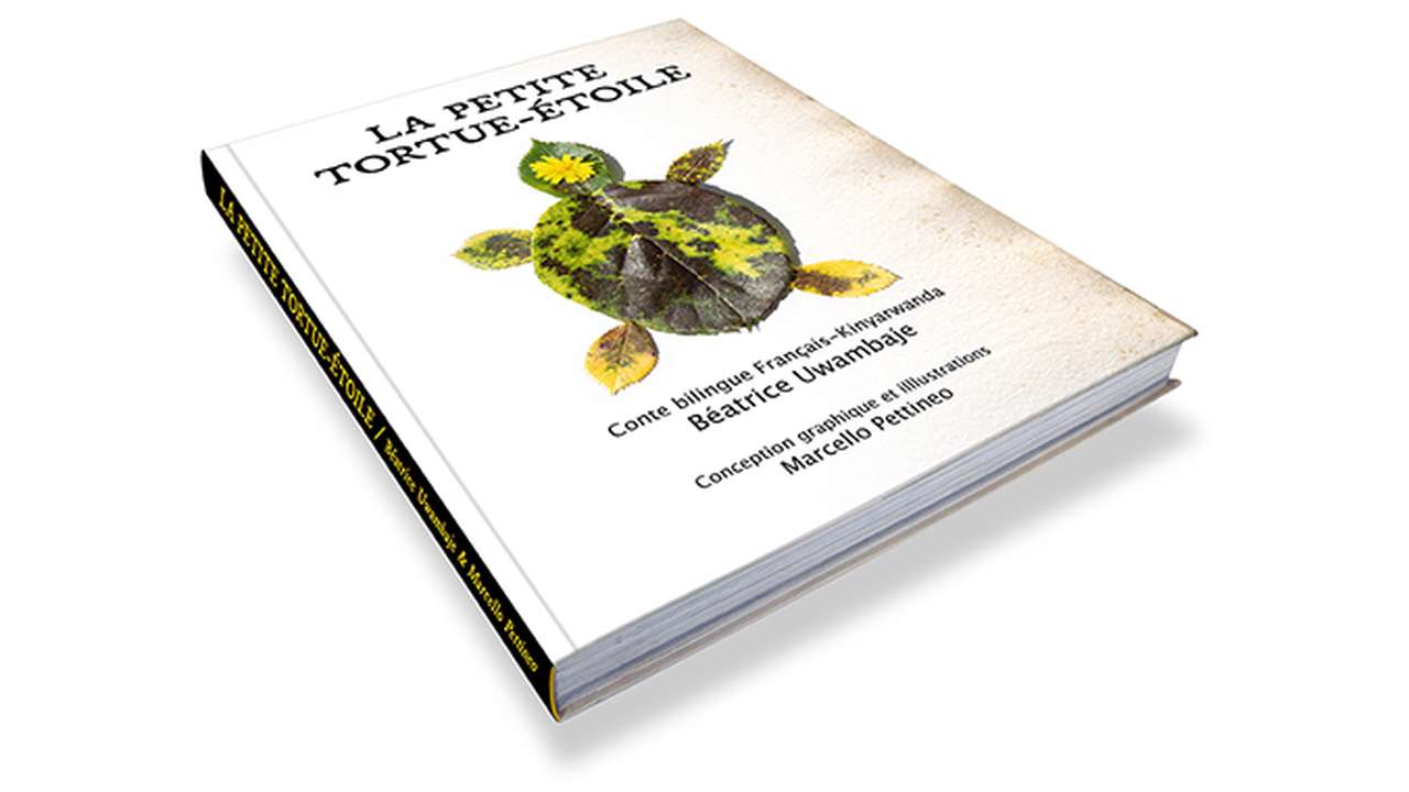 La petite tortue-étoile