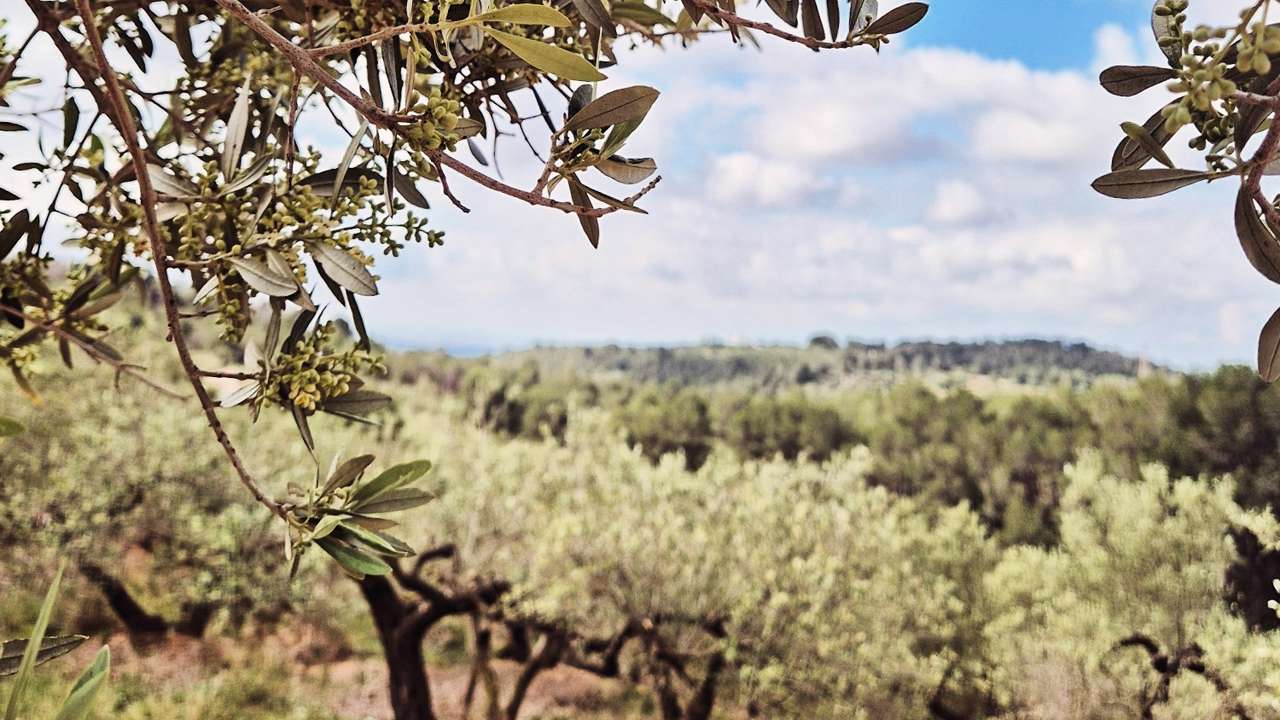 “Un lieu. Une vie. Une action.” GAIA CHÙUNUL