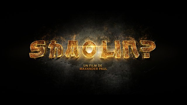 Shaolin? Le Film