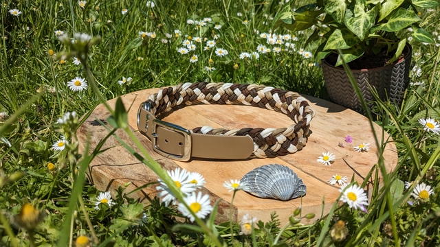Les colliers artisanaux pour chiens "Les Créas de Tobby"