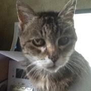 Jean Marie ANDREUX - Ulule