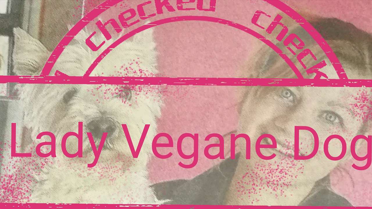 Lady Vegane Dog