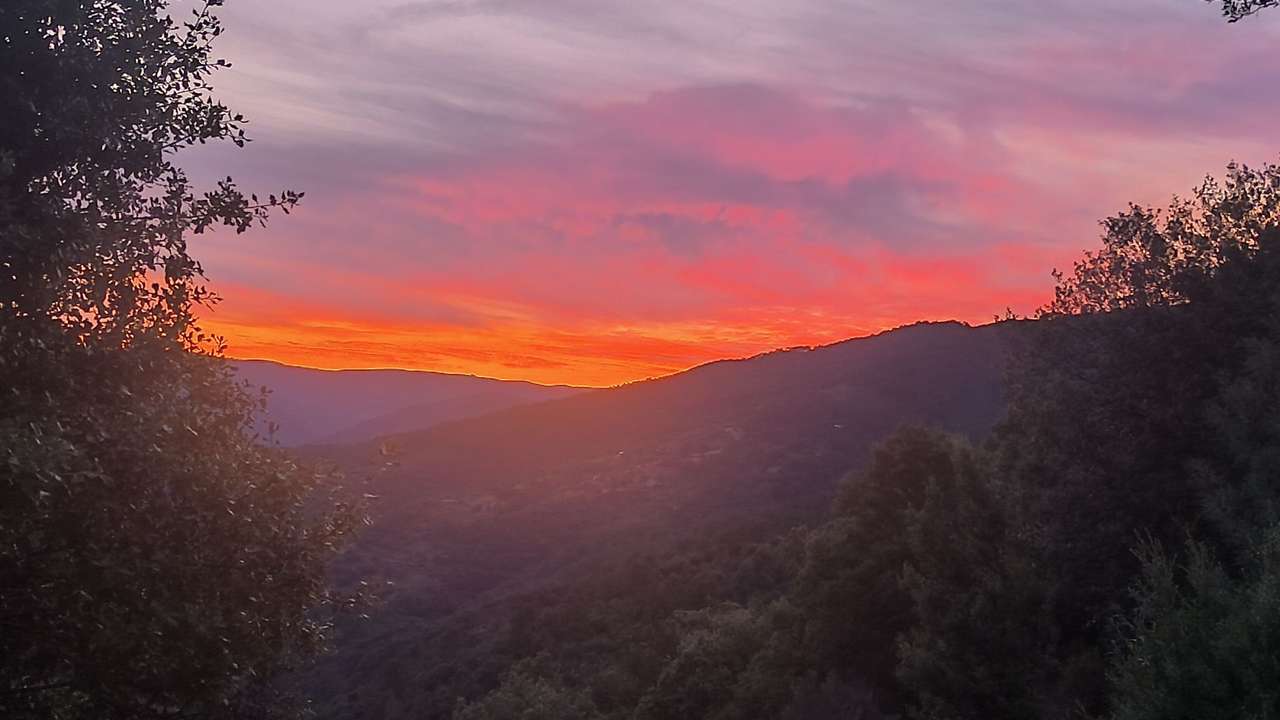 Atelier de peinture libre Le souffle des couleurs - Ulule