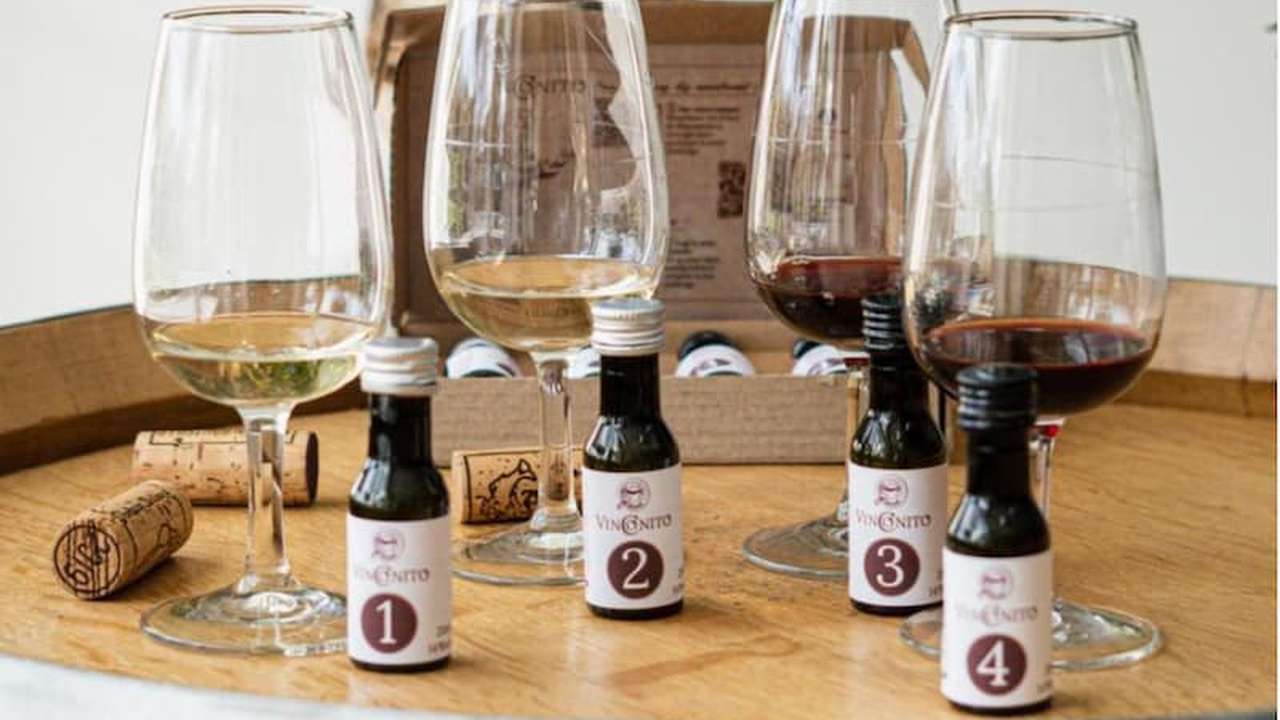 Box de dégustation de grands vins à l'aveugle