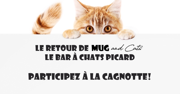 MUG AND CATS, le bar à chats Picard.