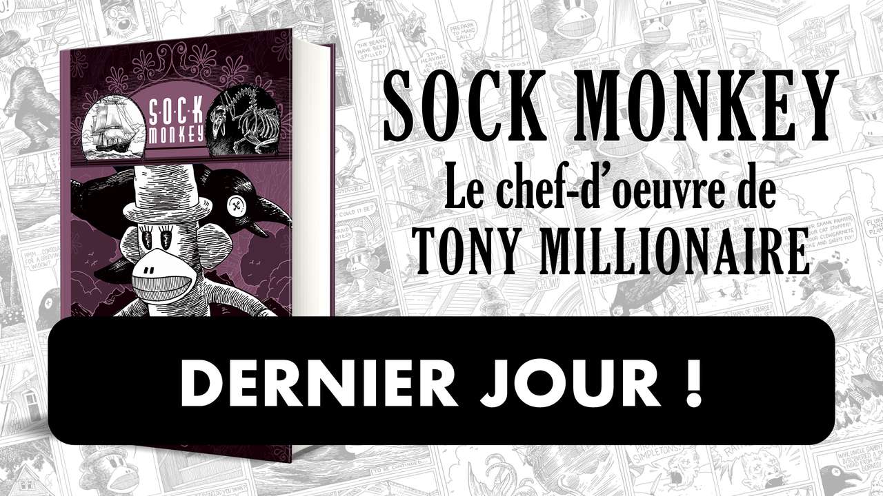 SOCK MONKEY - Ulule