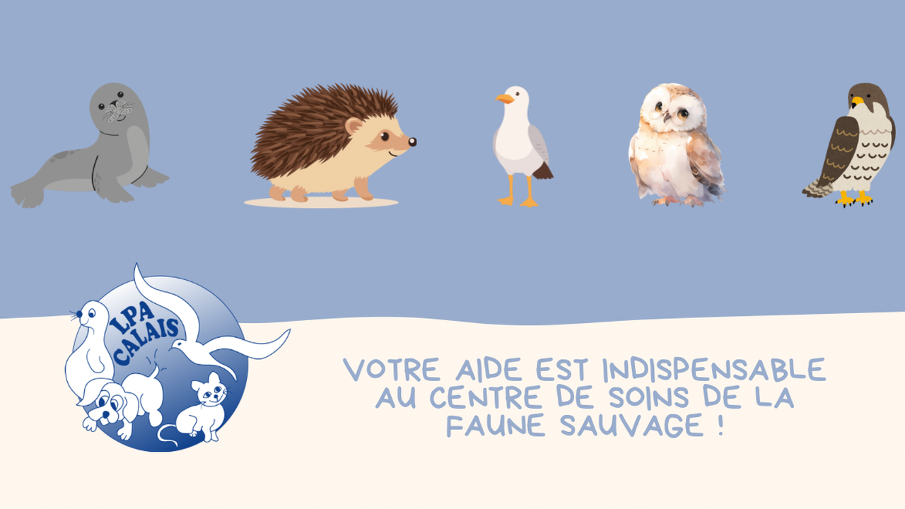 LPA du Calaisis - Centre de Soins de la Faune Sauvage