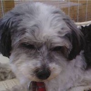 Astride Nuber - Ulule